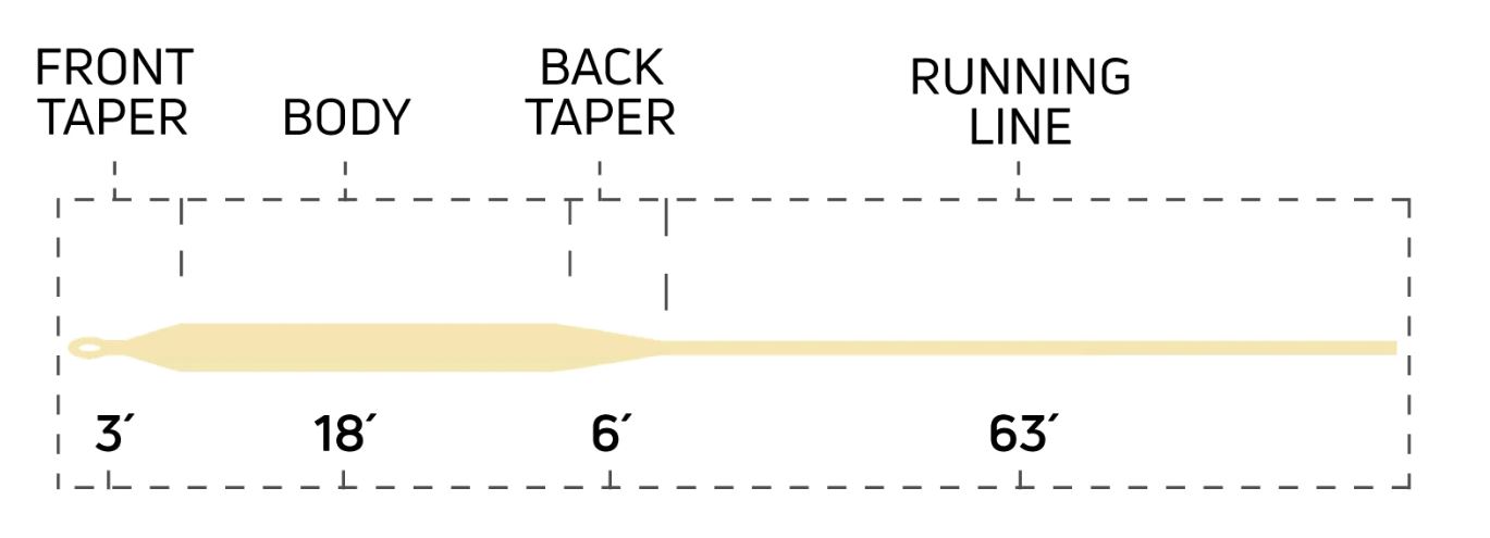 Cortland 444 | WF8F | Tropical All Purpose – REEL Fly Fishing