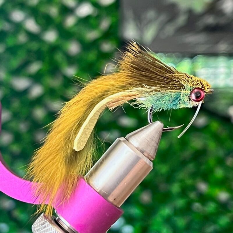 Go-To Minnow | Largemouth Yellowfish Flies – REEL Fly Fishing