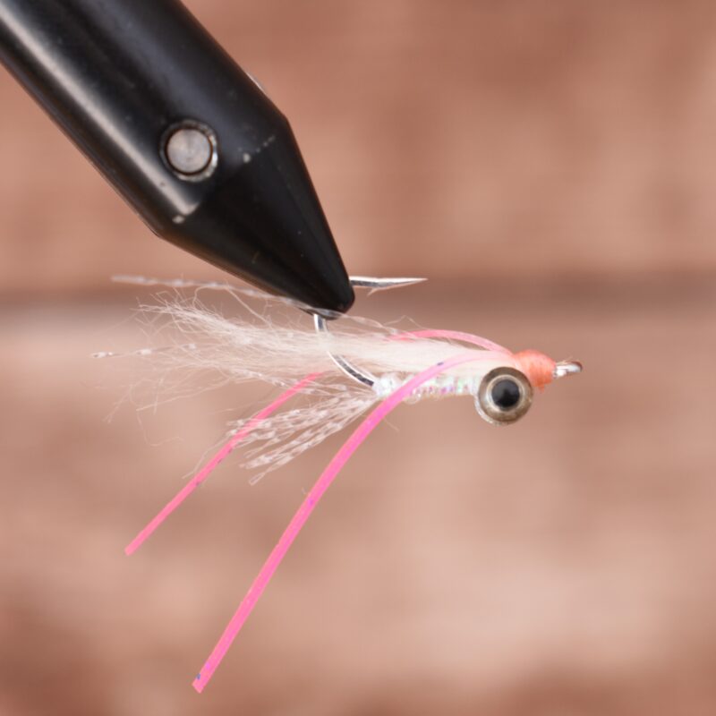 Crazy Charlies – REEL Fly Fishing