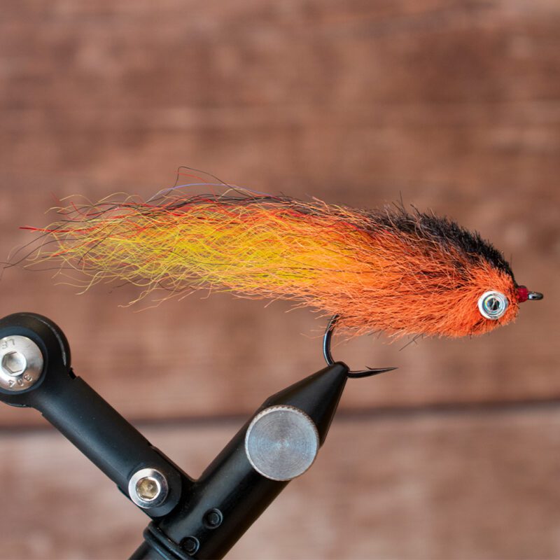 Tiger Brush Fly – REEL Fly Fishing