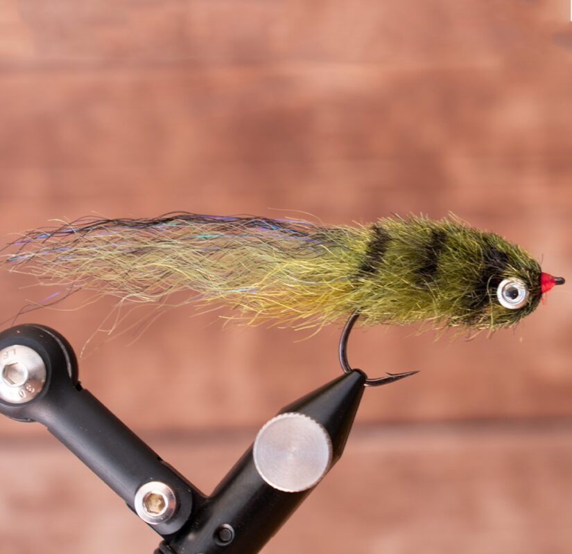 Tiger Brush Fly – REEL Fly Fishing