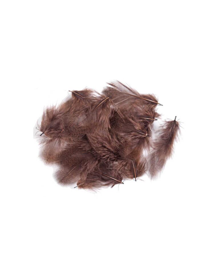 Soldarini Partridge Feathers – REEL Fly Fishing