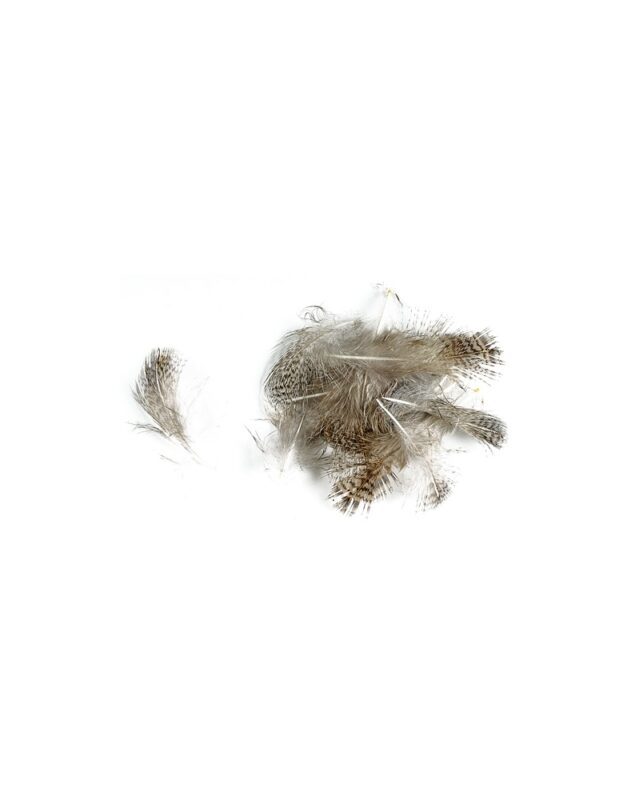 Soldarini Partridge Feathers – REEL Fly Fishing