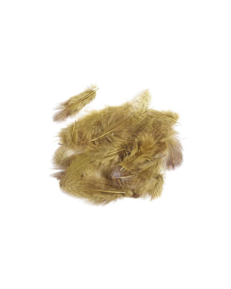 Soldarini Partridge Feathers – REEL Fly Fishing
