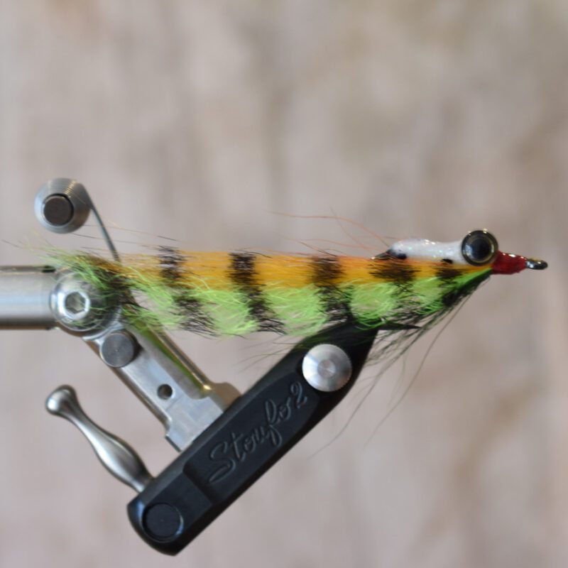 Tiger Clouser | Tiger Fly – REEL Fly Fishing
